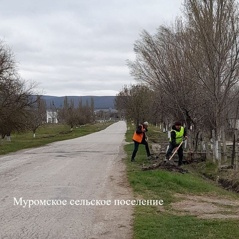 Уборка поросли, покос травы, обрезка и побелка деревьев, побелка ...