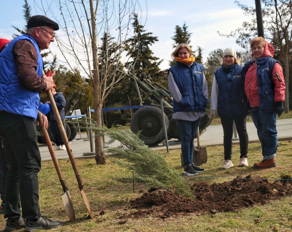 На Сапун горе высадили деревья в рамках акции Сад памяти Лента новостей Крыма