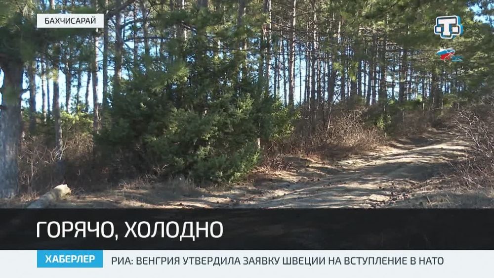 В Крыму начали подготовку к пожароопасному сезону Лента новостей Крыма