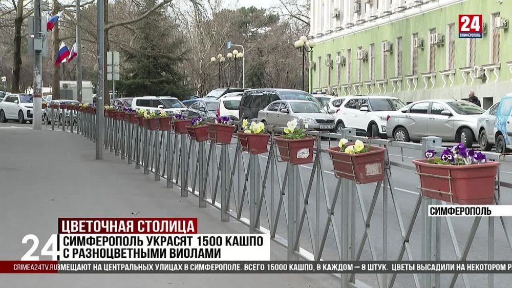 Симферополь украсят 1500 кашпо с разноцветными виолами - Лента новостей ...